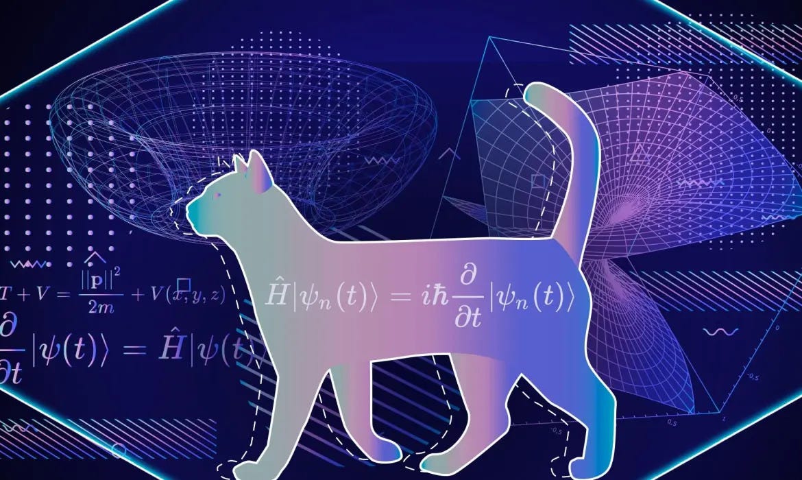 The Quantum Quandary: Why Don't We Bury Schrödinger's Cat?